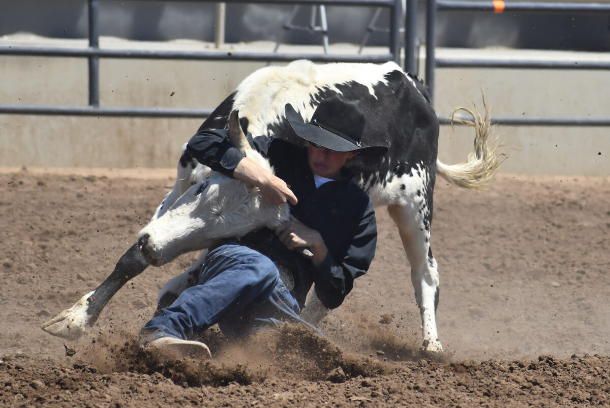LLOYD: High school rodeo highlights toughness and kindness despite ...